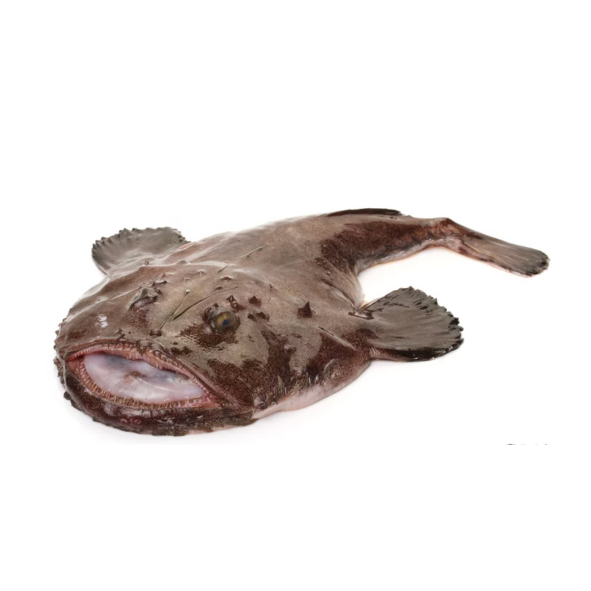 Frozen Monkfish Bulk 4p 10kg /냉동 아구 4미 10kg – DW-MALL